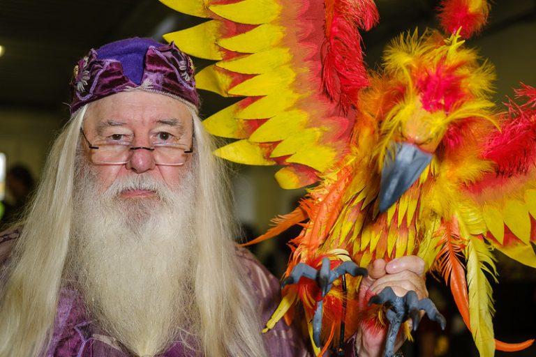 Getting to Know the Famous Harry Potter Professors - Pop Art Machine